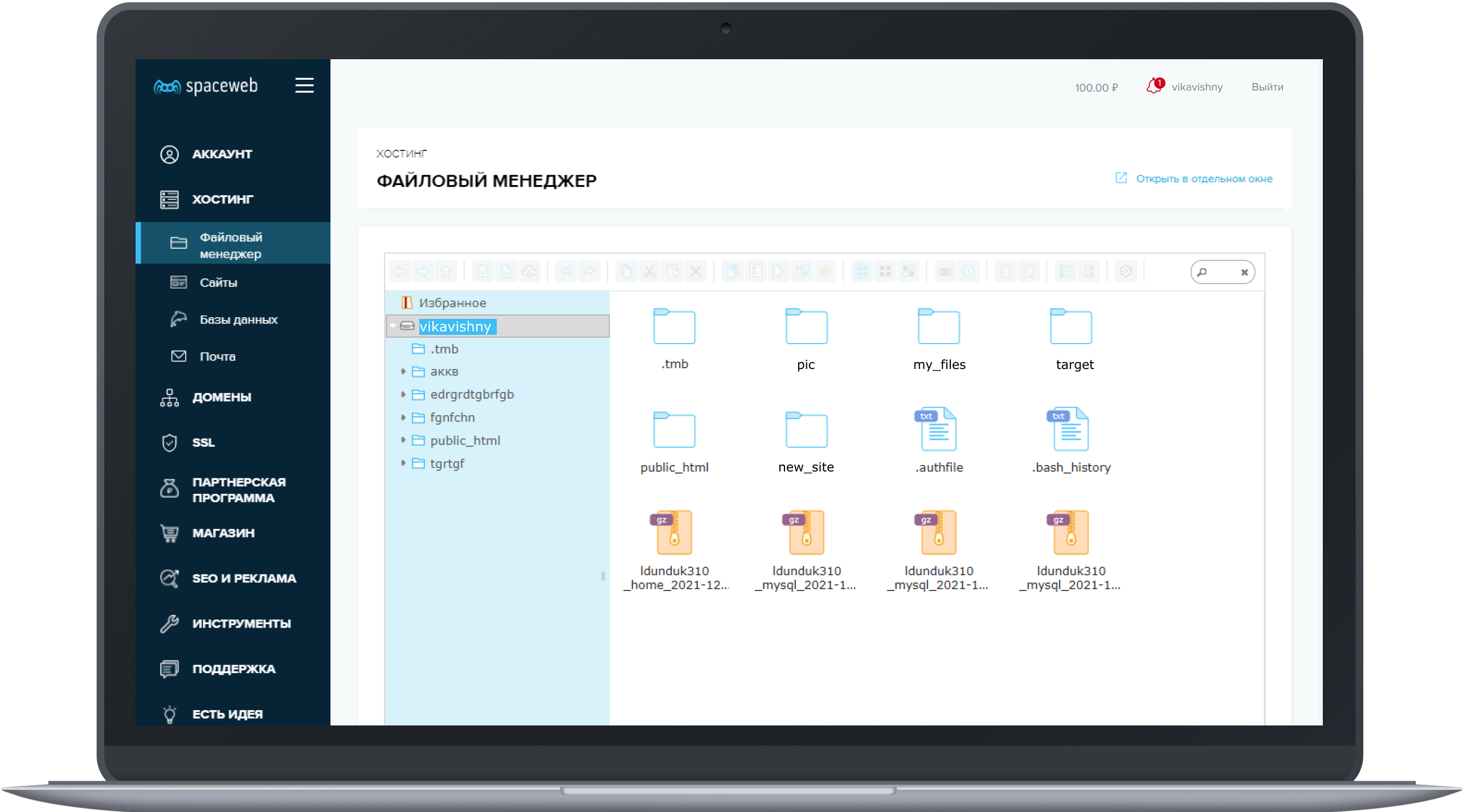 Виртуальный хостинг купить по низкой цене — SpaceWeb