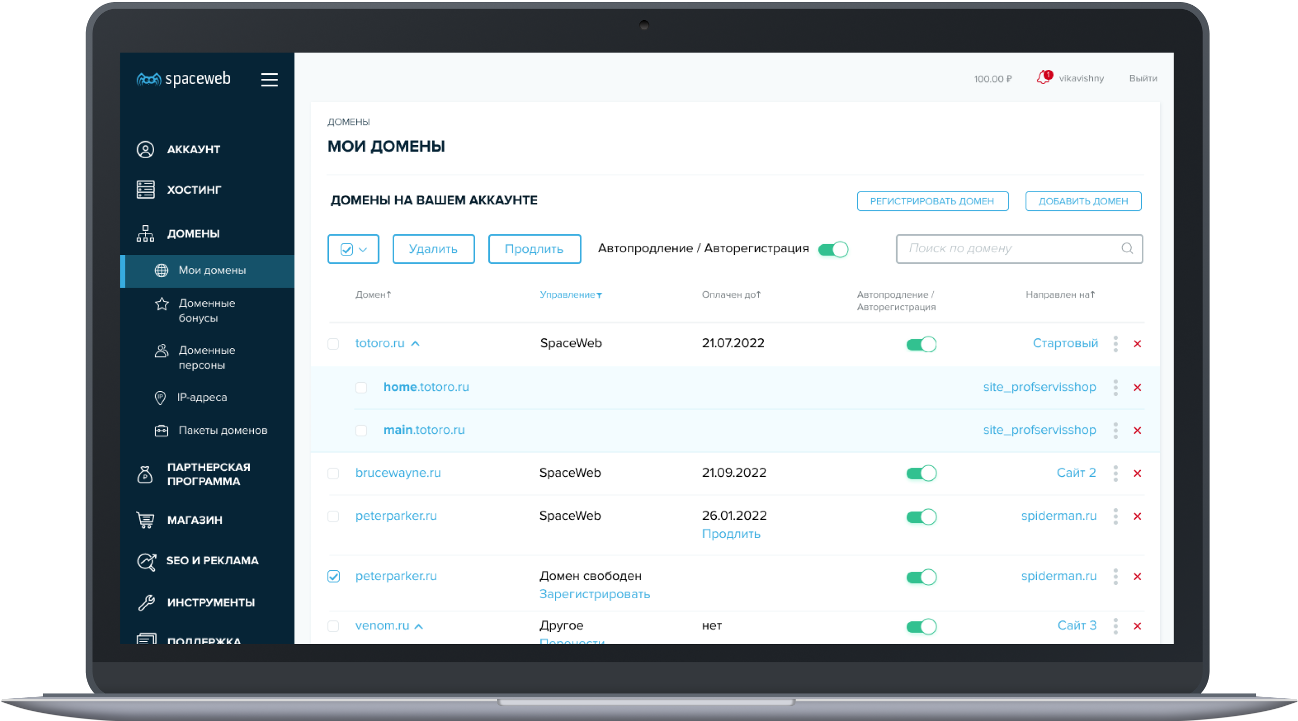 Виртуальный хостинг купить по низкой цене — SpaceWeb